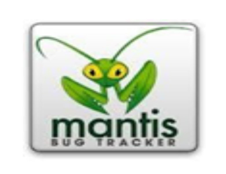 Technologies – Custom Software Development